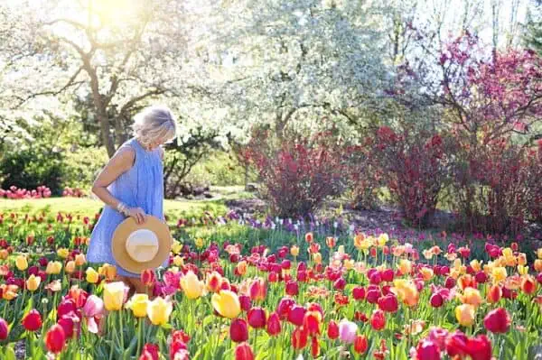 Springtime - A Fresh Start for Your Writing Career - Law of Attraction ...