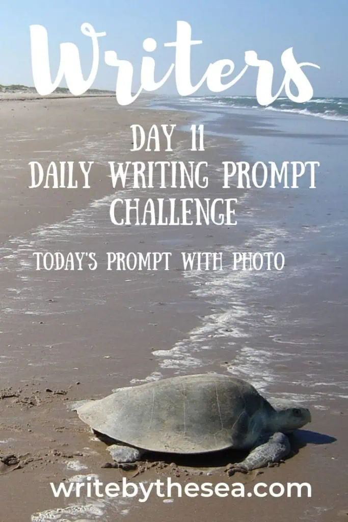 Daily Writing Prompt Challenge - Day 11 - Law of Attraction for Writers