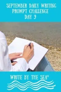 Daily Writing Prompt Challenge - Day 9 - Law of Attraction for Writers